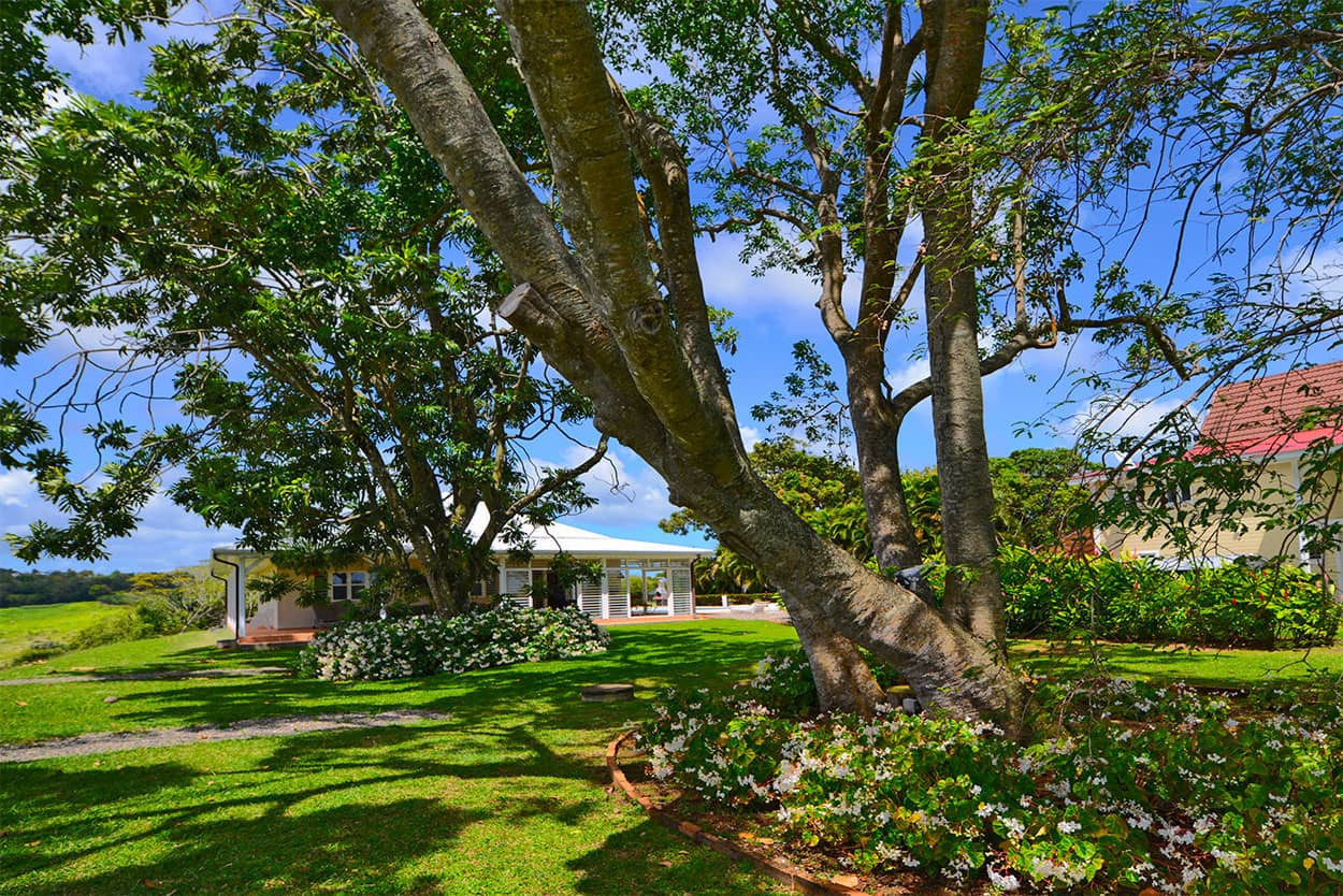 Habitation MONT VERT location villa Martinique le Robert piscine vue ...