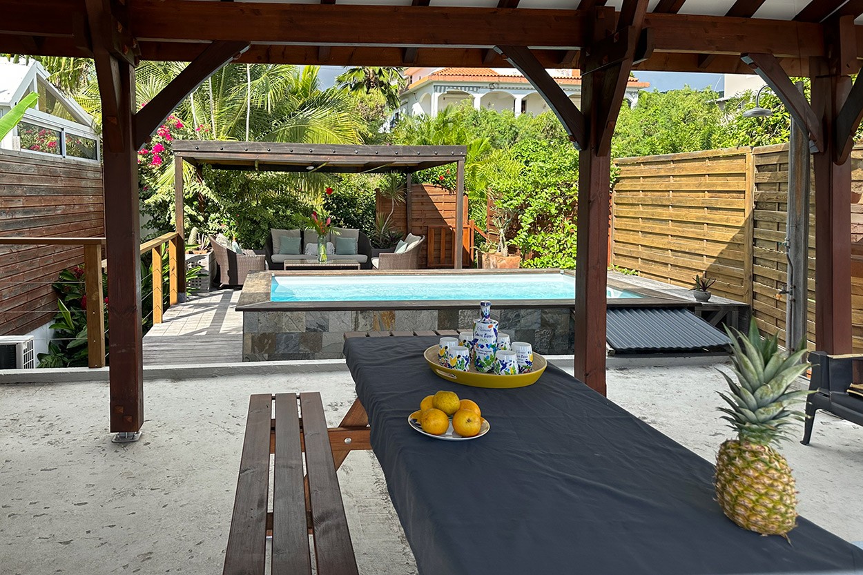LA PISCINE SUR LE TOIT du Diamant rental House Martinique sea view ...