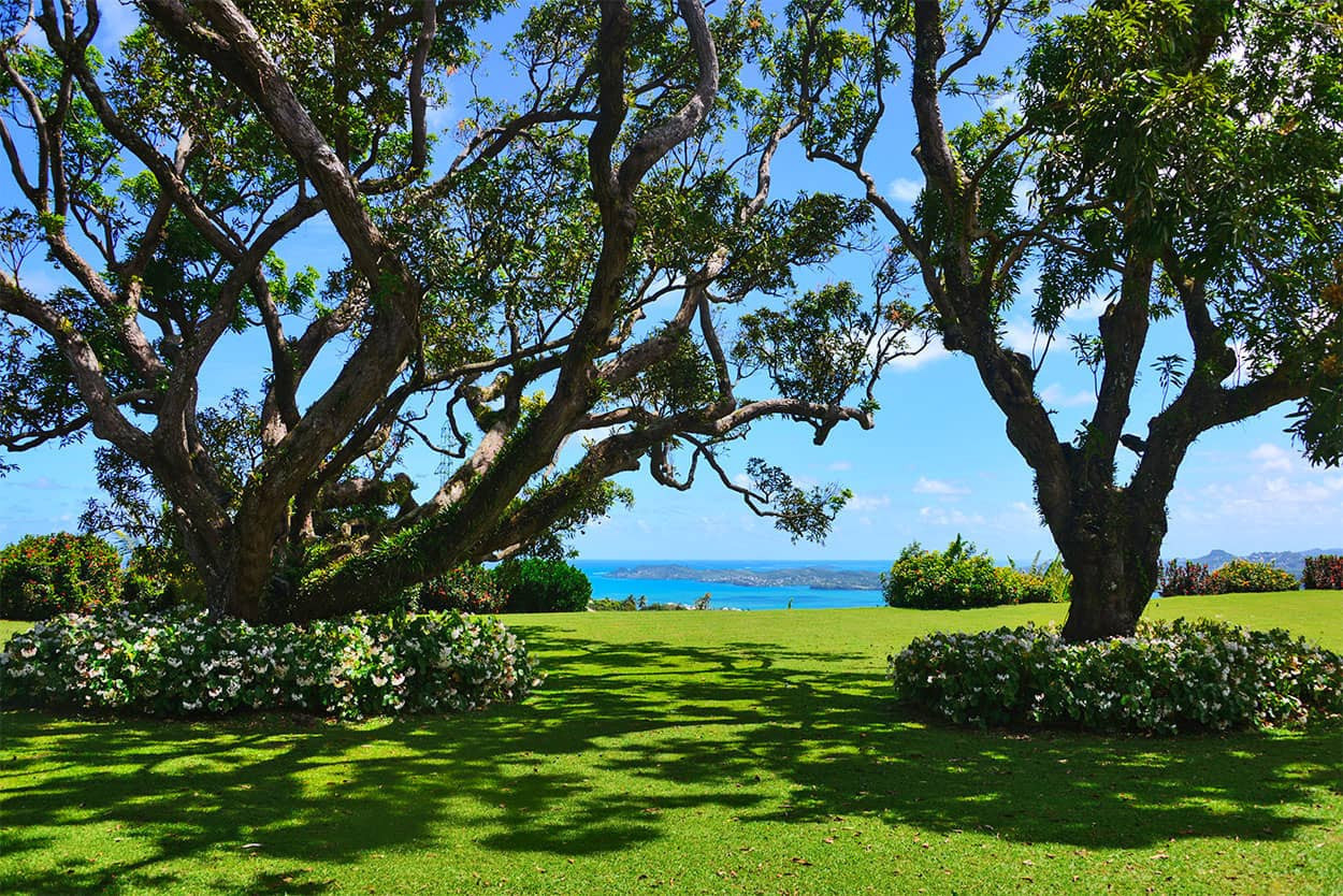 Habitation MONT VERT location villa Martinique le Robert piscine vue ...